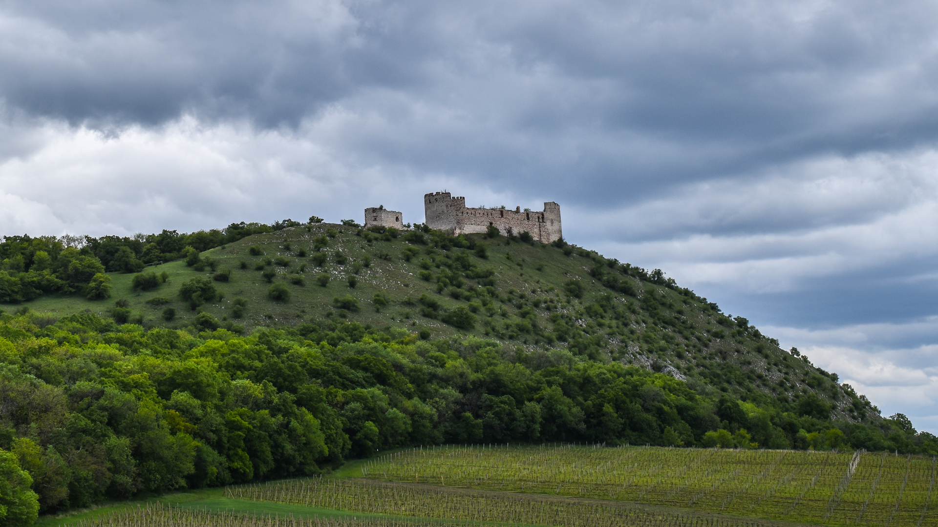 Treasure Hunt Palava - team building activity in Palava | TerraHunt